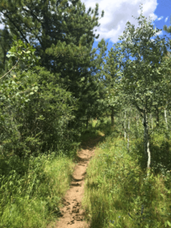 Donner Pass Colorado near Fort Collins (Trail Review)