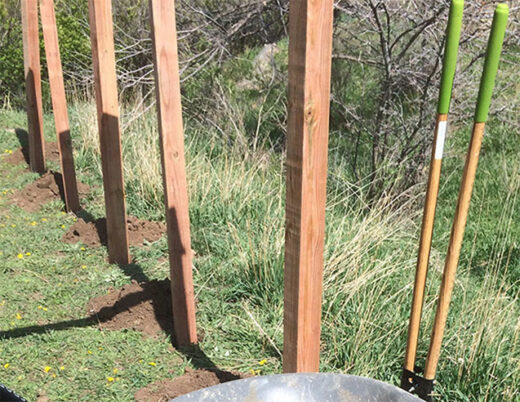 DIY Garden Fence (keep the Deer out of your garden)