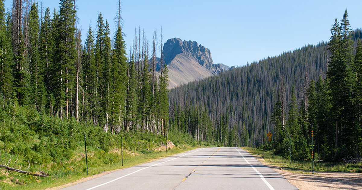 Cameron Pass (Guide to Adventure in the Colorado Wilderness)