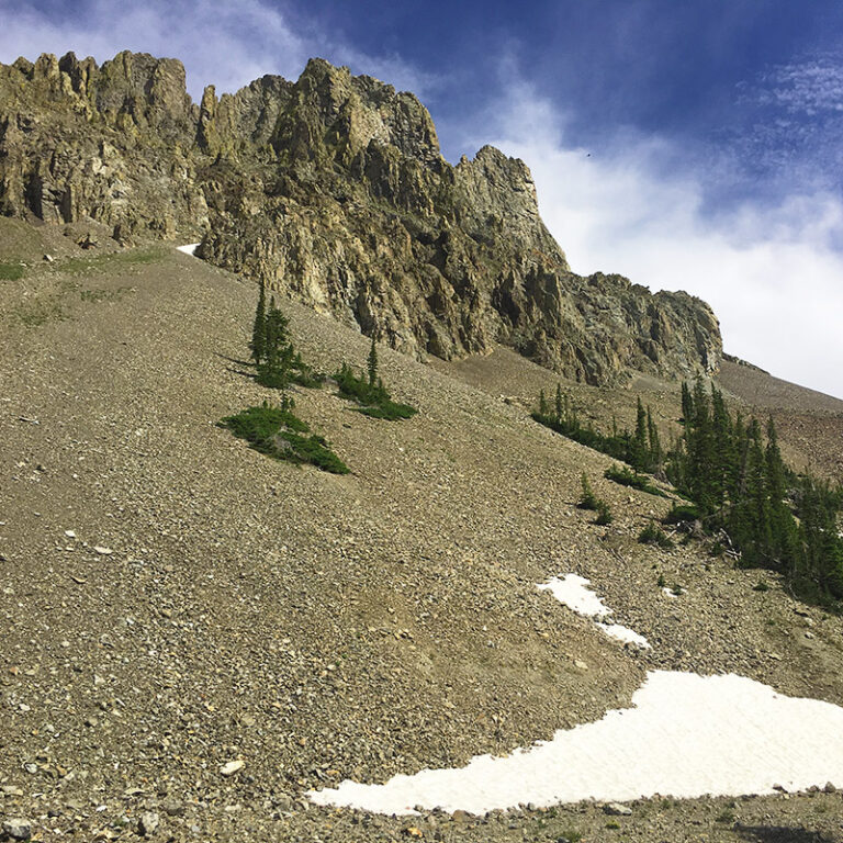 Cameron Pass (Guide to Colorado Adventure)