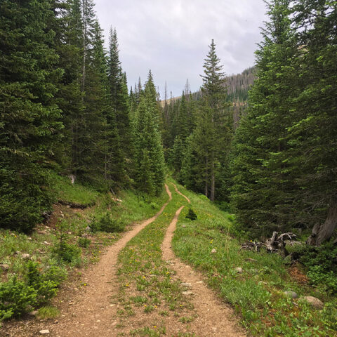 Cameron Pass (Guide to Colorado Adventure)