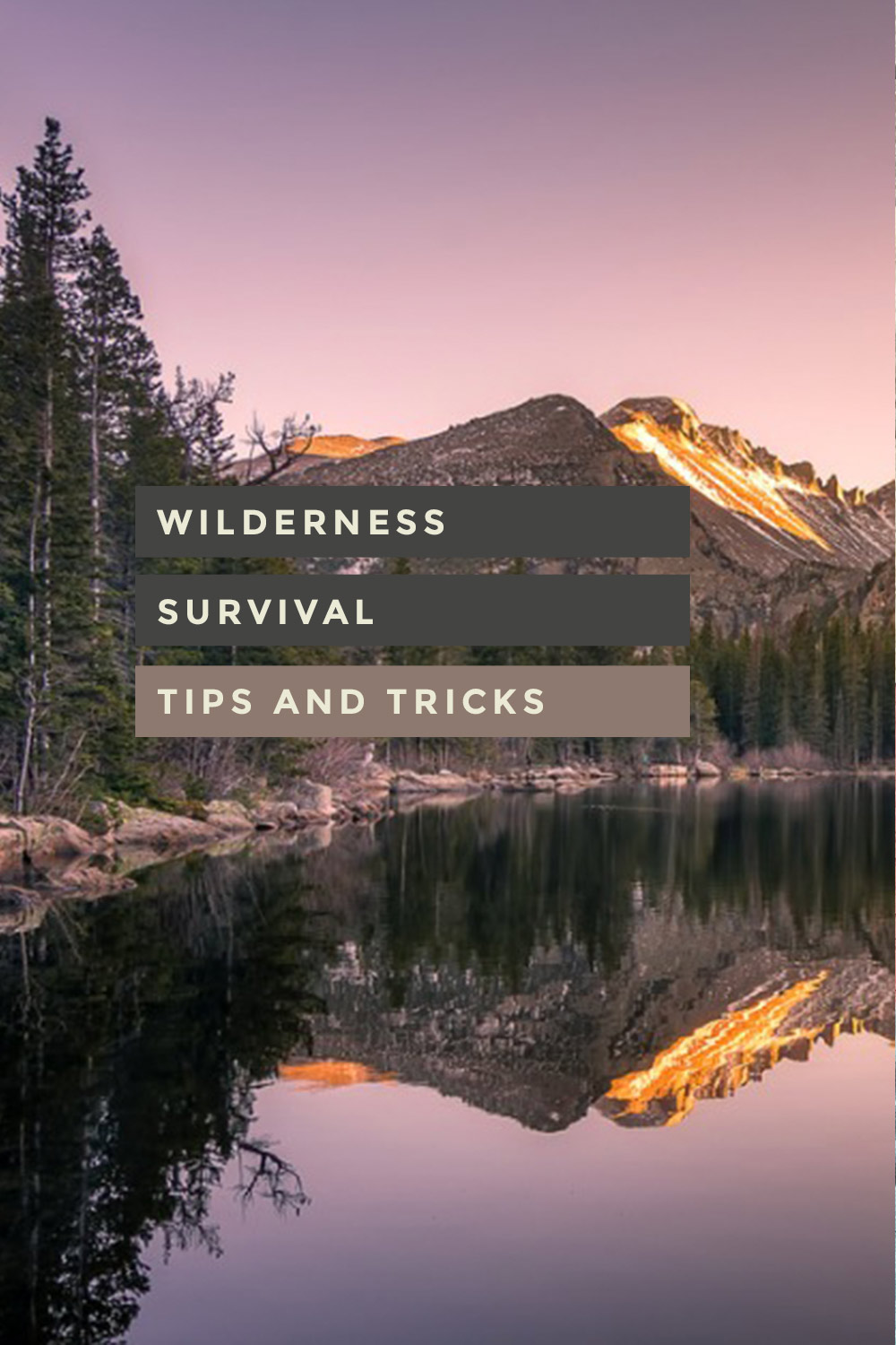 Essential Tips for Survival in the Wilderness