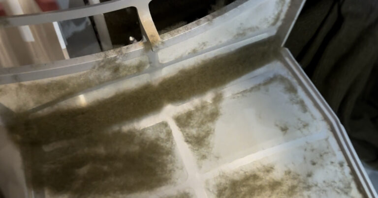 Breaking in Your New Wool Blanket