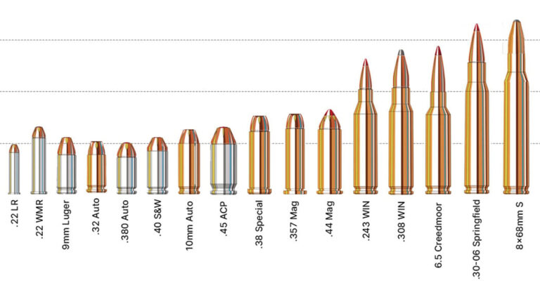 Ammunition by Caliber: A Guide to Bullet Sizes