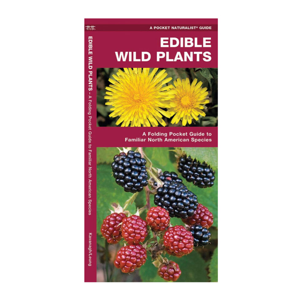 Edible Wild Plants Guide: Safe Foraging in North America