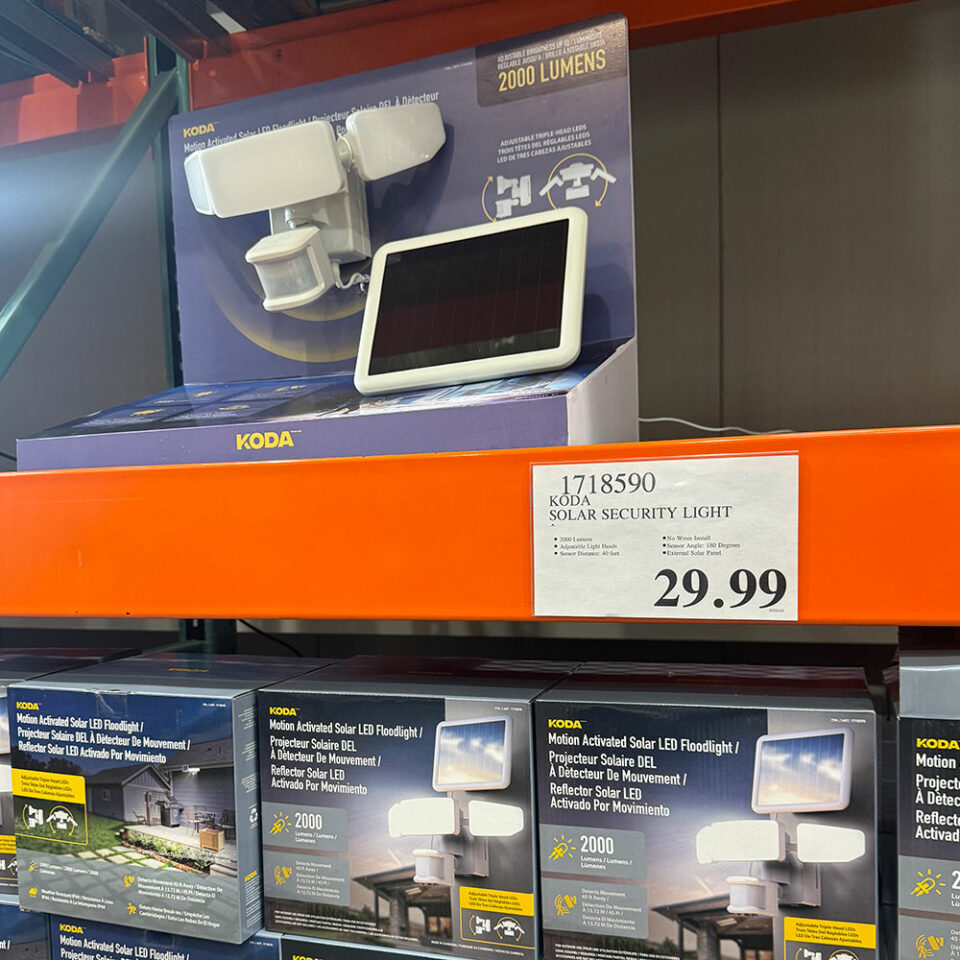 Preparedness: Organizing for the Unexpected w Costco Finds (Feb 2024)
