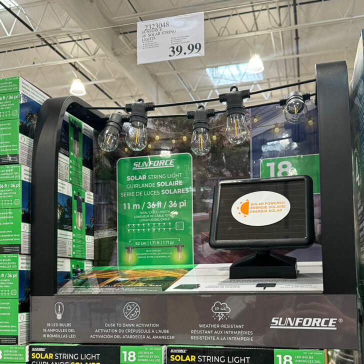 Preparedness: Organizing for the Unexpected w Costco Finds (Feb 2024)