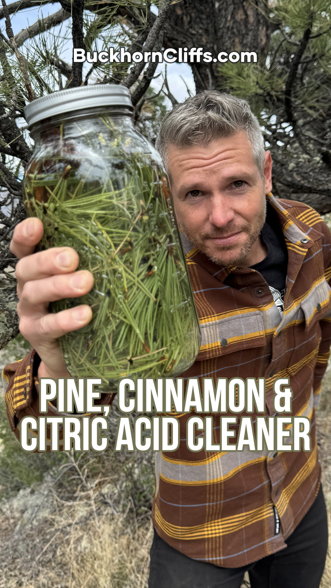 Pine, Cinnamon & Citric Acid Cleaner Recipe for Preppers & Homesteaders