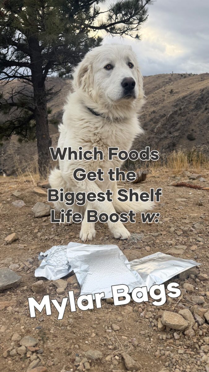 Mylar Bags for Food Storage: Which Foods Benefit and How to Use Them ...